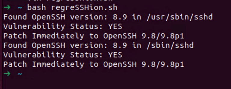 The Story of regreSSHion: Critical OpenSSH Vulnerability - Logpoint